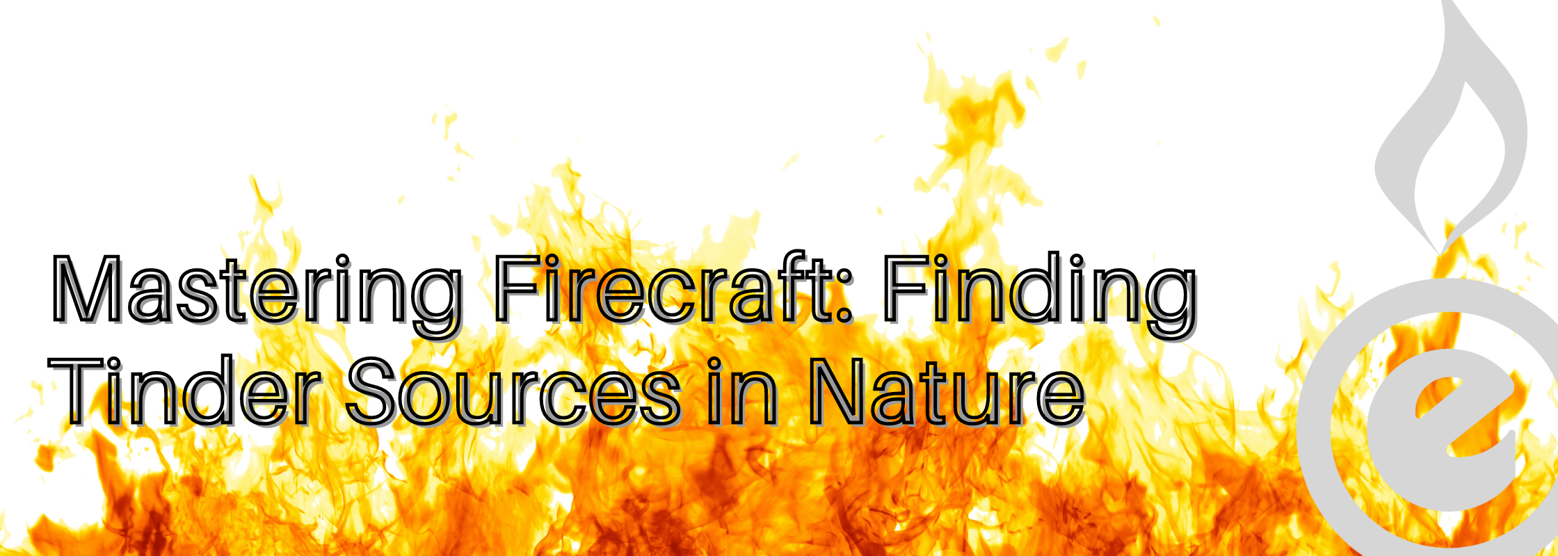 Mastering Firecraft: Finding Tinder Sources in Nature – Outdoor Element