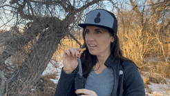 Scout Feather Adventure Survival Knife – Outdoor Element